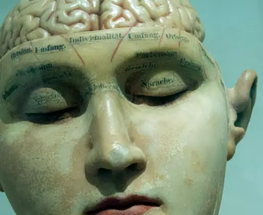 Delusional Disorder: Information, Symptoms, Treatment and More - Mental ...