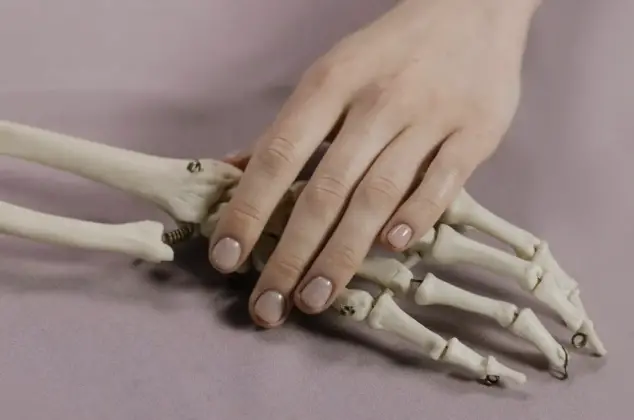 Freud's Theories of the Life and Death Instincts - Mental Health General